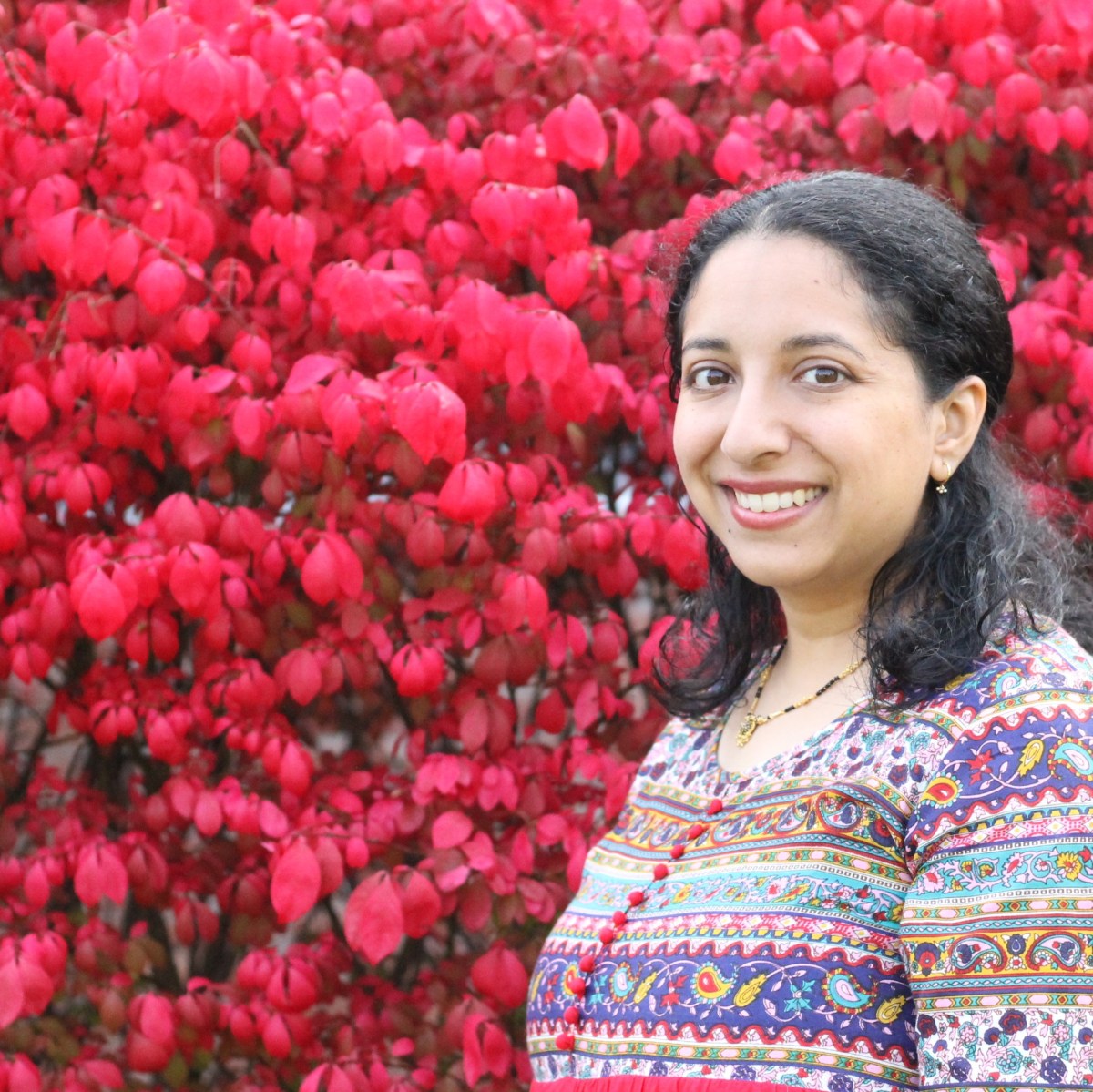 Author discusses her book about India’s history in “Ahimsa” – Rachel ...